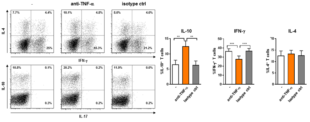 Cytokine analysis - intracellular cytokine staining by flow cytometry