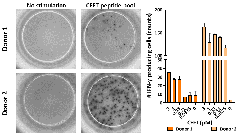 Cytokine analysis - ELIspot