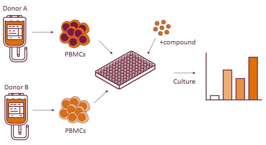 Mixed lymphocyte reaction