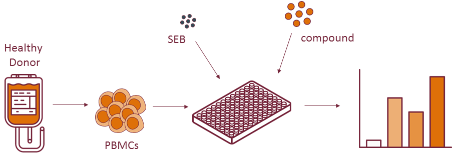 Superantigen stimulation