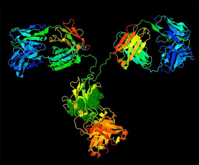 No allergic origin for infusion reactions during infliximab treatment